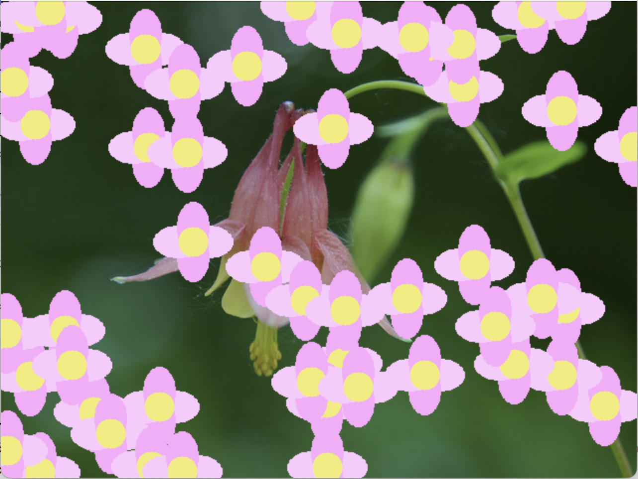 ICA: Loops and Images – Vision Readings